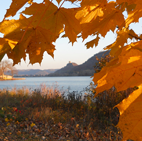 Fall Season | Things To Do | Visit Winona