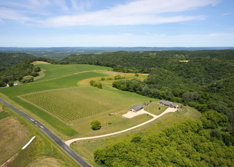 Bluff Top Vineyard | Visit Winona