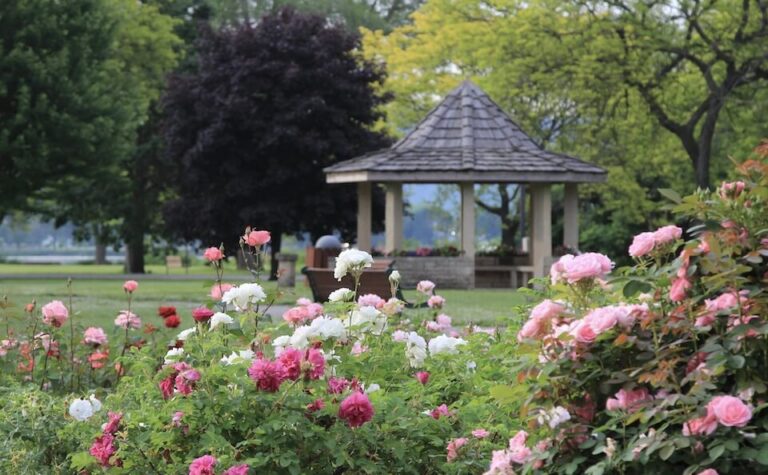 Explore By Season | Things To Do | Visit Winona