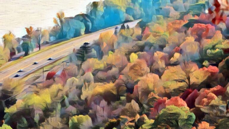 Things To Do In Winona | Visit Winona